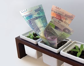 Savings Account | Open Bank Account Online | NBK Kuwait